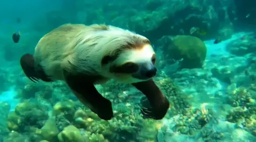 Luma Ray 2 | AI Playground