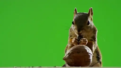 Luma Ray 2 | AI Playground