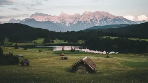 AI Tracking Shot Video - 免费生成动态追踪镜头